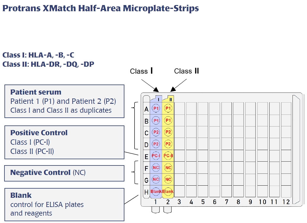 PROTRANS HLA XMatch - protrans medizinische diagnostische produkte gmbh